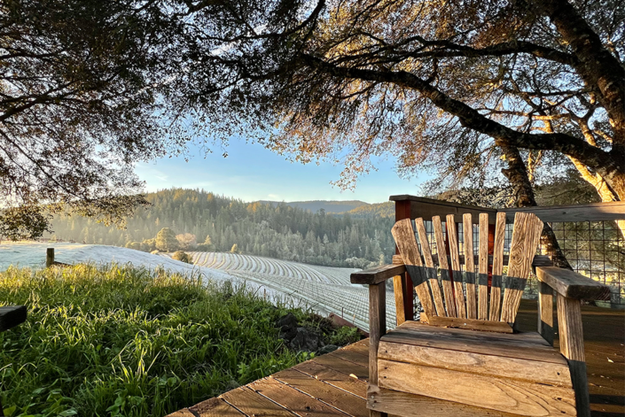 Anderson Valley | Wineries, Vineyards, Restaurants & Lodging