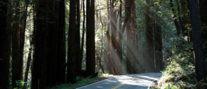 Plan Your Visit to Anderson Valley, California Wine Country