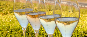 Plan Your Visit to Anderson Valley, California Wine Country