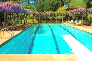 Wild Iris Retreat | Anderson Valley Lodging & Accommodations