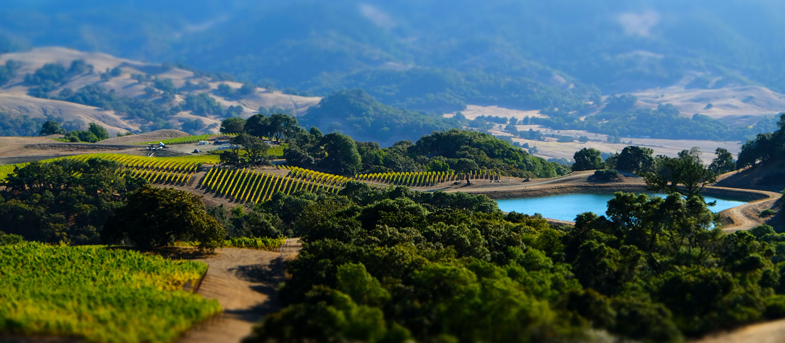 Plan Your Visit to Anderson Valley, California Wine Country