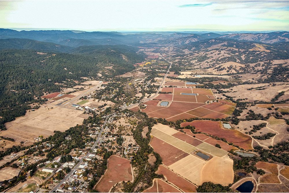 Cheers to Anderson Valley for Forty Years as an AVA