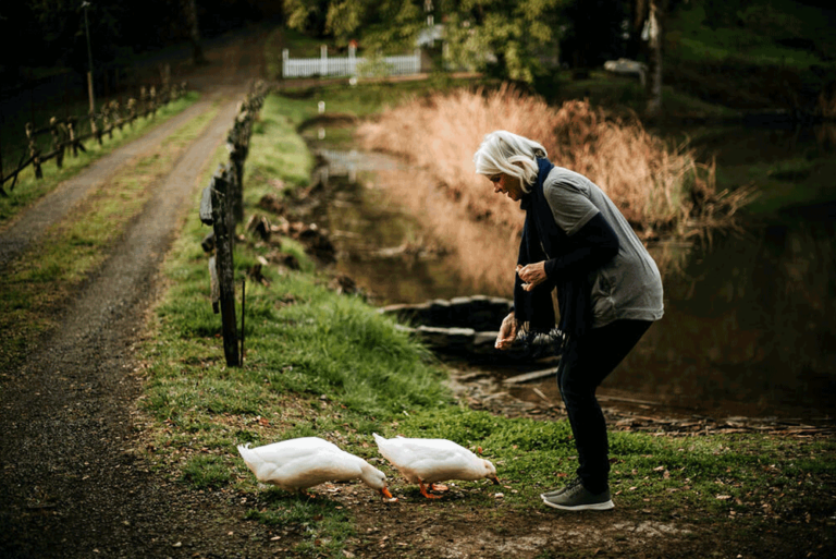 Anderson Valley Lodging | Inns, Hotels, Retreats & Cottages