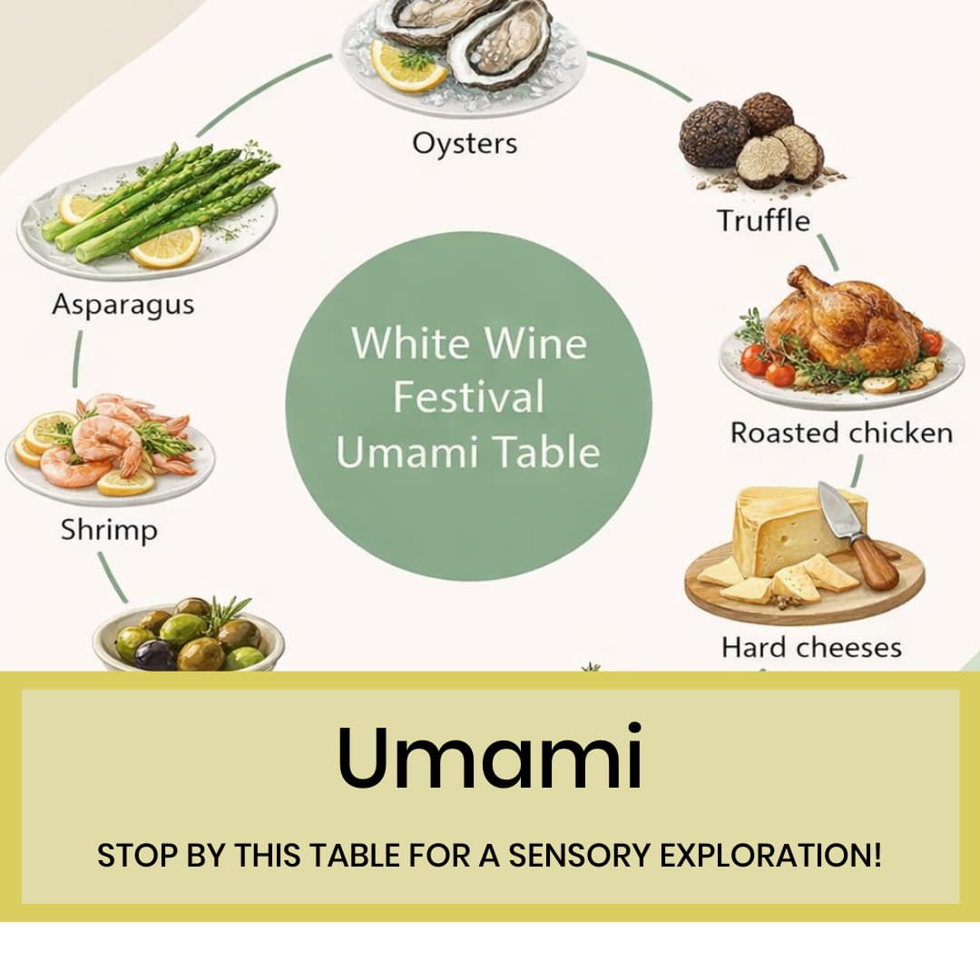 Umami Education Demonstration at International White Wine Festival